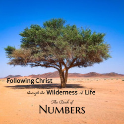 stencil.wordpress-thumbnail-numbers – Friendship Baptist Church